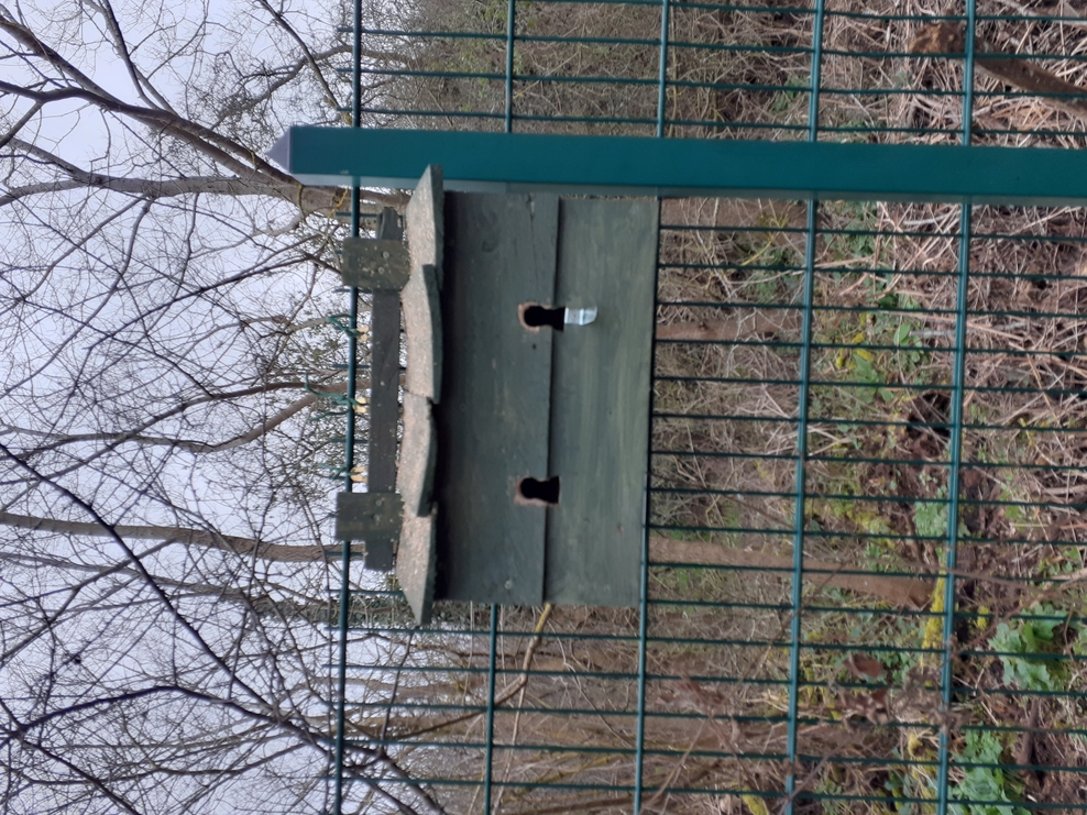 Wilder School - Coldfair Green Primary | Suffolk Wildlife Trust