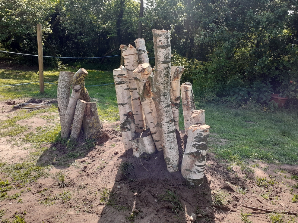 Wilder School - Coldfair Green Primary | Suffolk Wildlife Trust