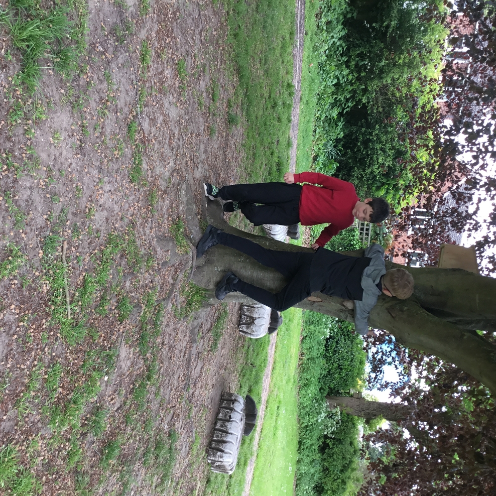 Wilder School - Coldfair Green Primary | Suffolk Wildlife Trust