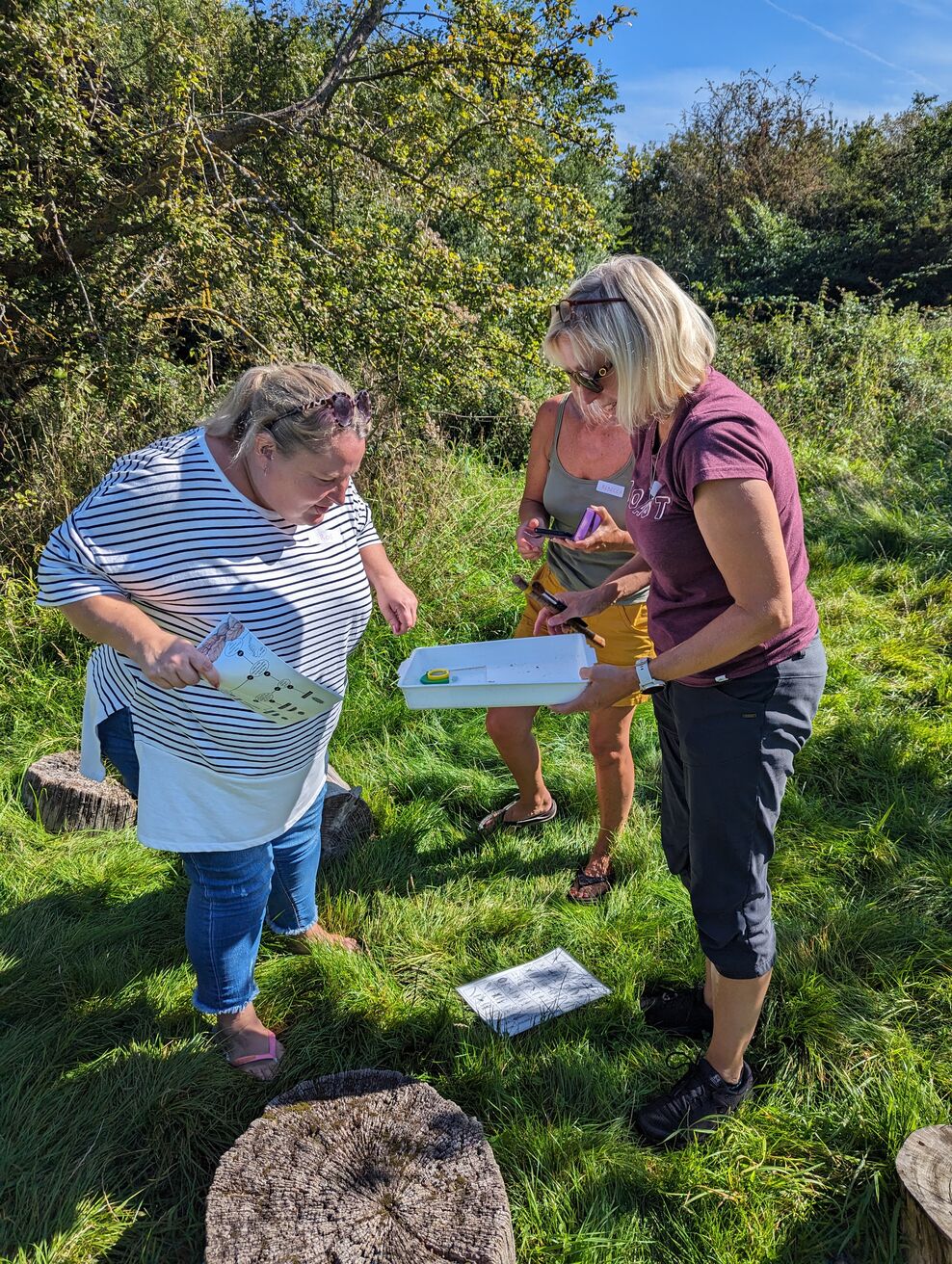 Wilder School - Kingsfleet Primary | Suffolk Wildlife Trust