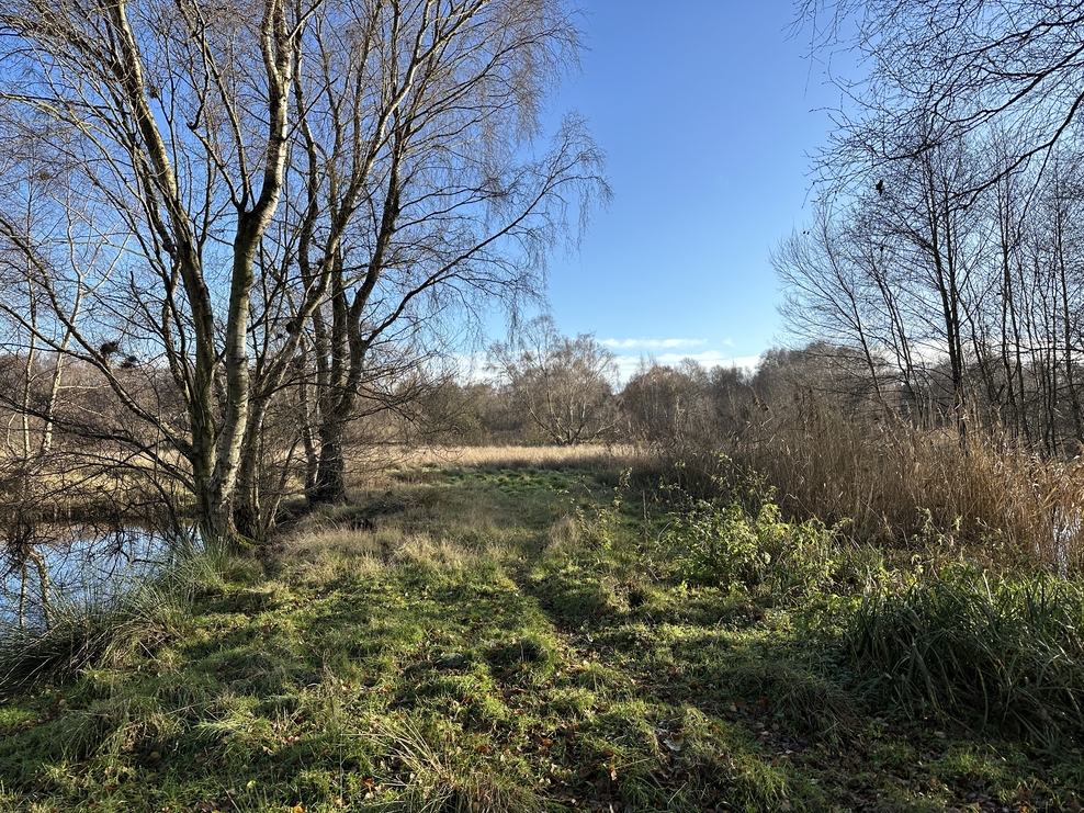 Worlingham Marshes - a new nature reserve in the Suffolk Broads ...