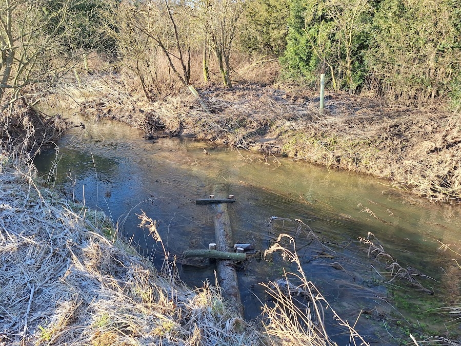 Reconnecting the River Glem floodplains | Suffolk Wildlife Trust