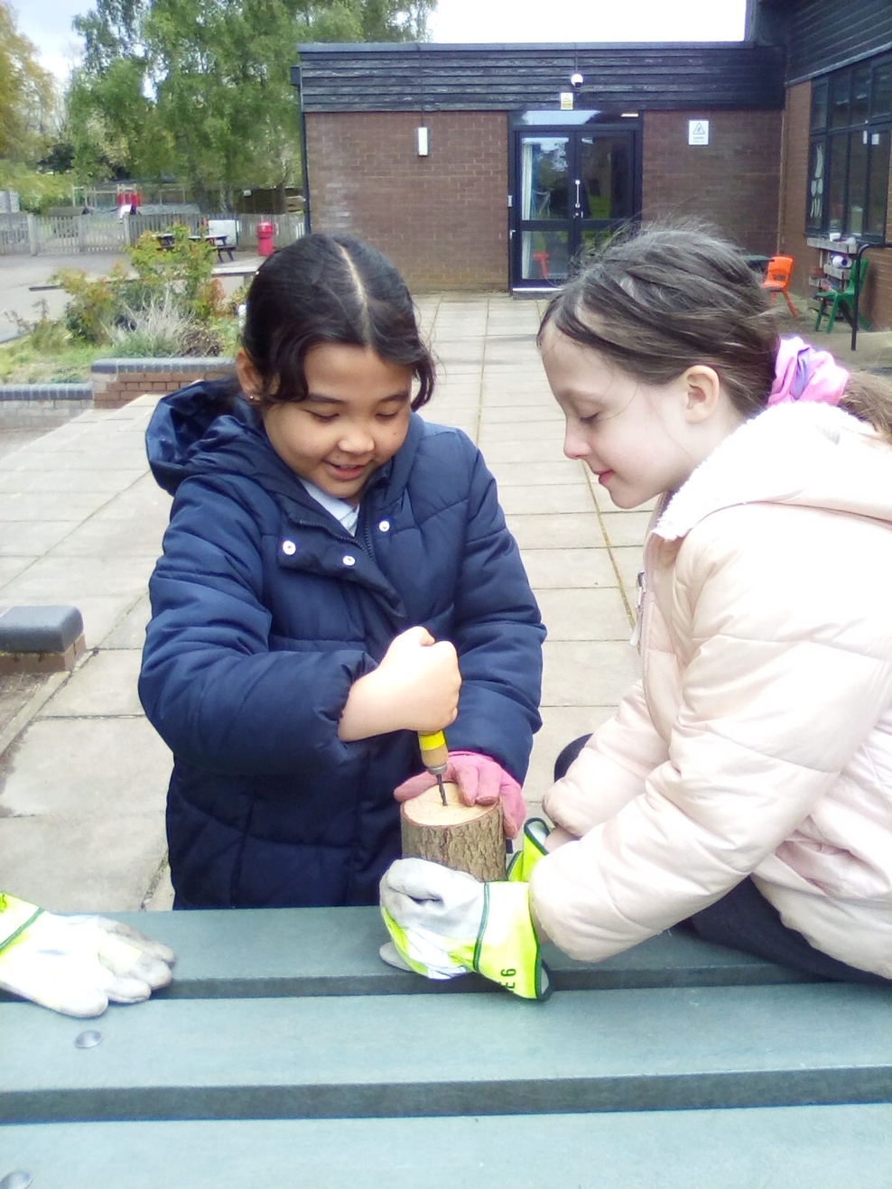 Wilder School - Broke Hall Community Primary School | Suffolk Wildlife ...