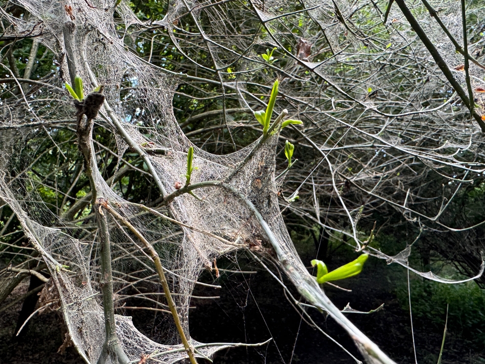 Wild news from our teams - June 2024 | Suffolk Wildlife Trust