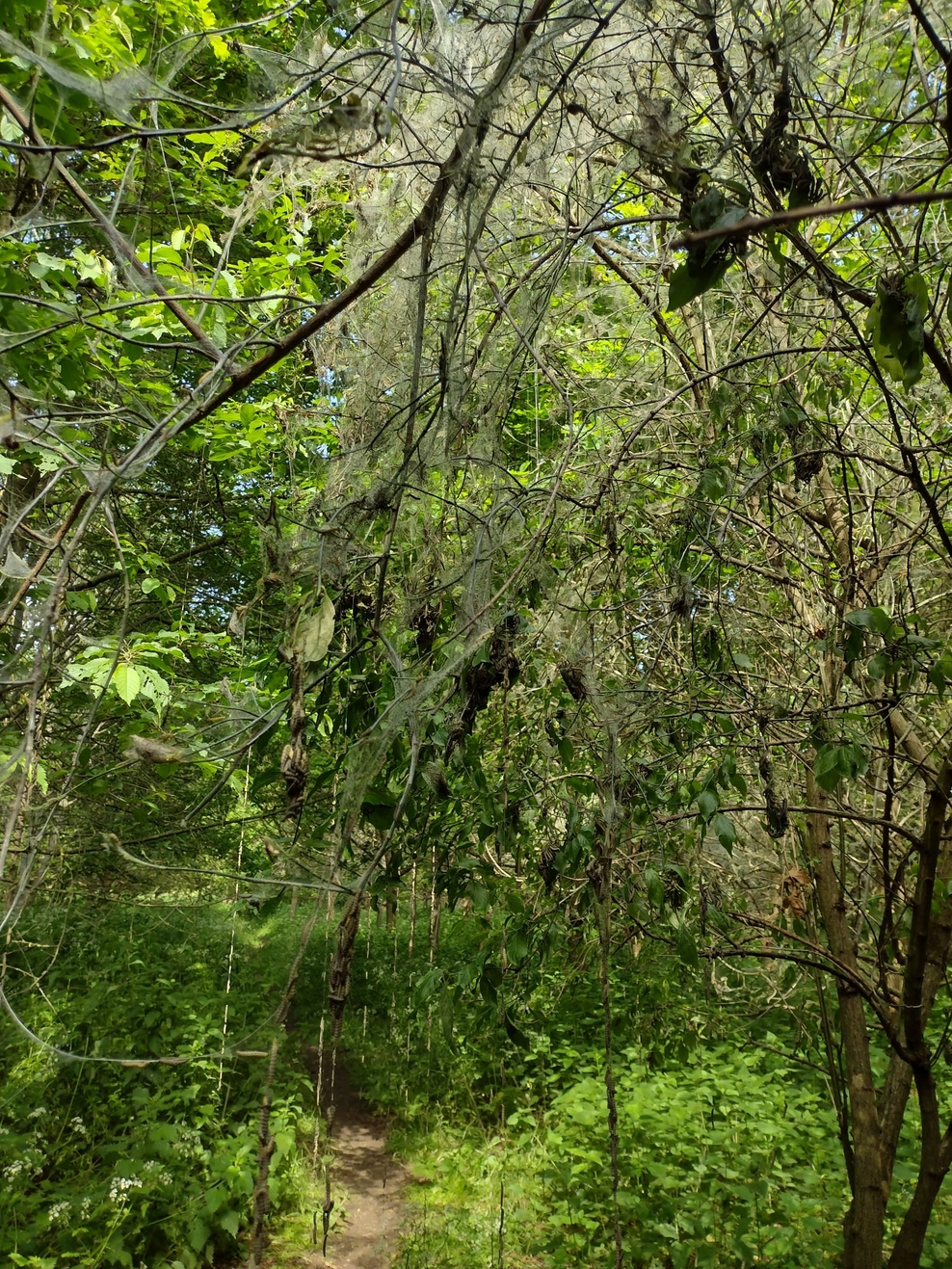 Wild news from our teams - June 2024 | Suffolk Wildlife Trust