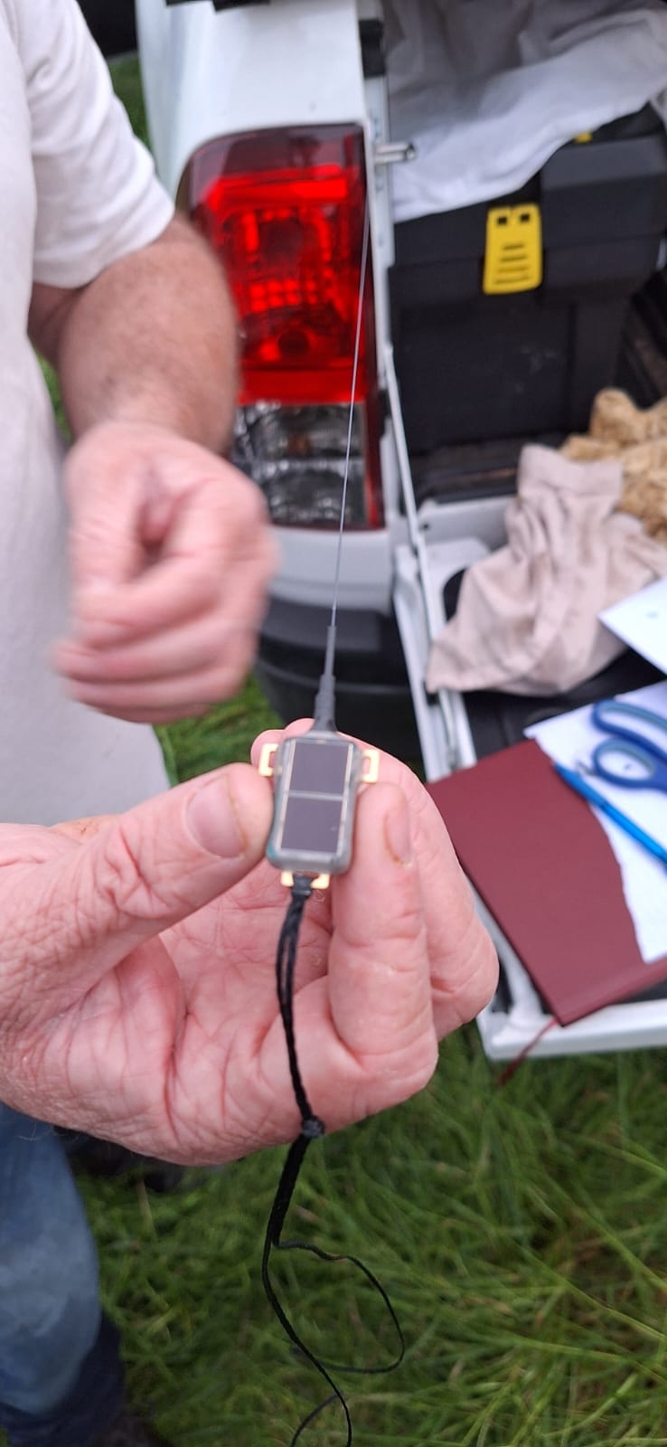 State-of-the-art tags tracking cuckoo migration from Worlingham Marshes ...