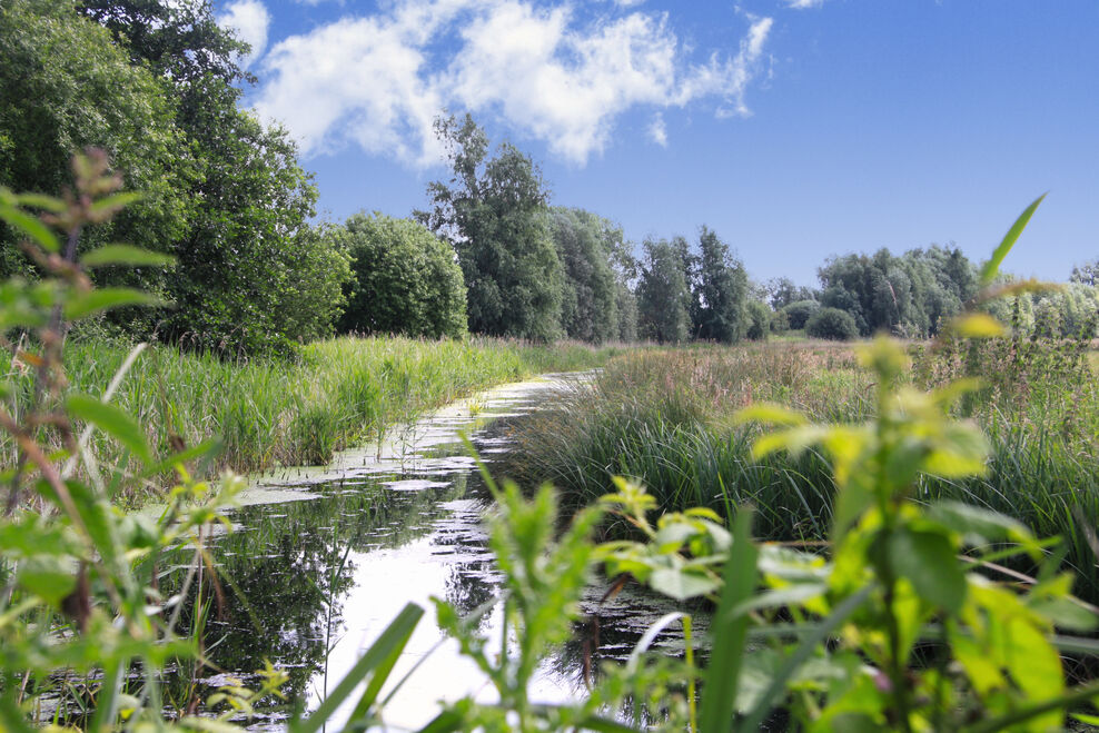 Remembering Tim Woodward | Suffolk Wildlife Trust