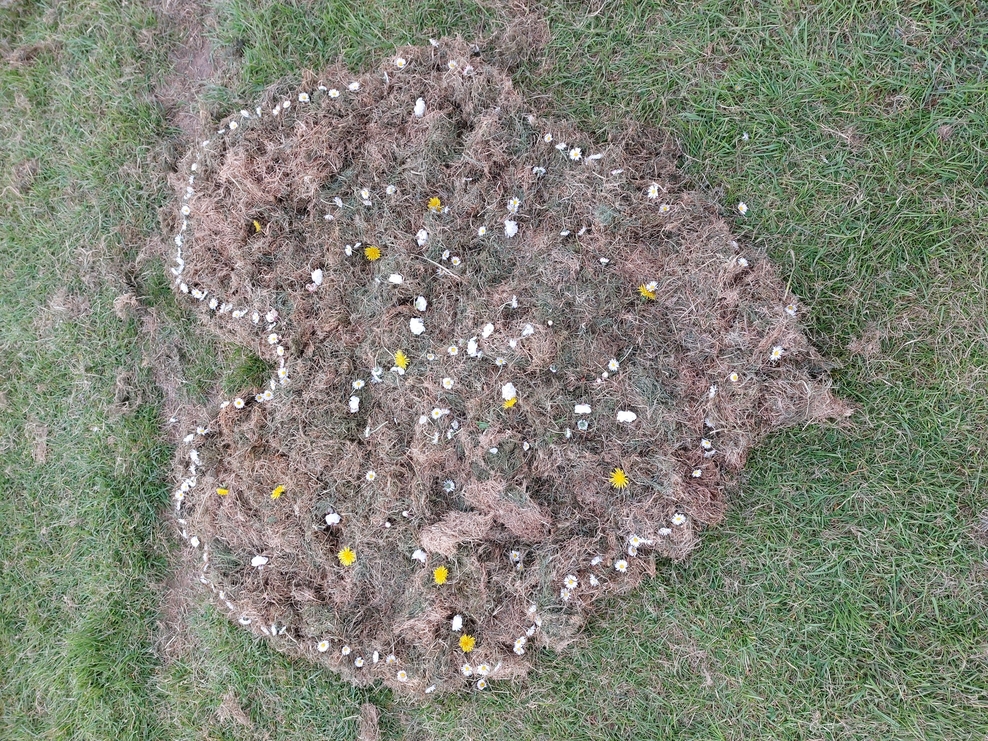 Wilder School - Worlingham CEVC Primary School | Suffolk Wildlife Trust