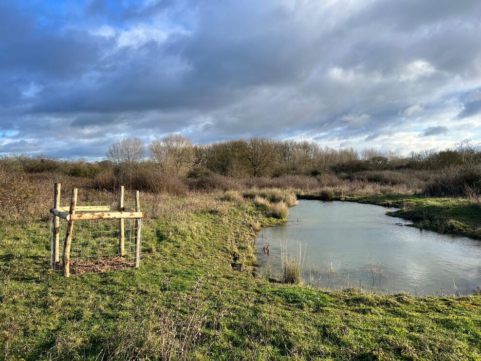Wild News from our teams - January 2025 | Suffolk Wildlife Trust
