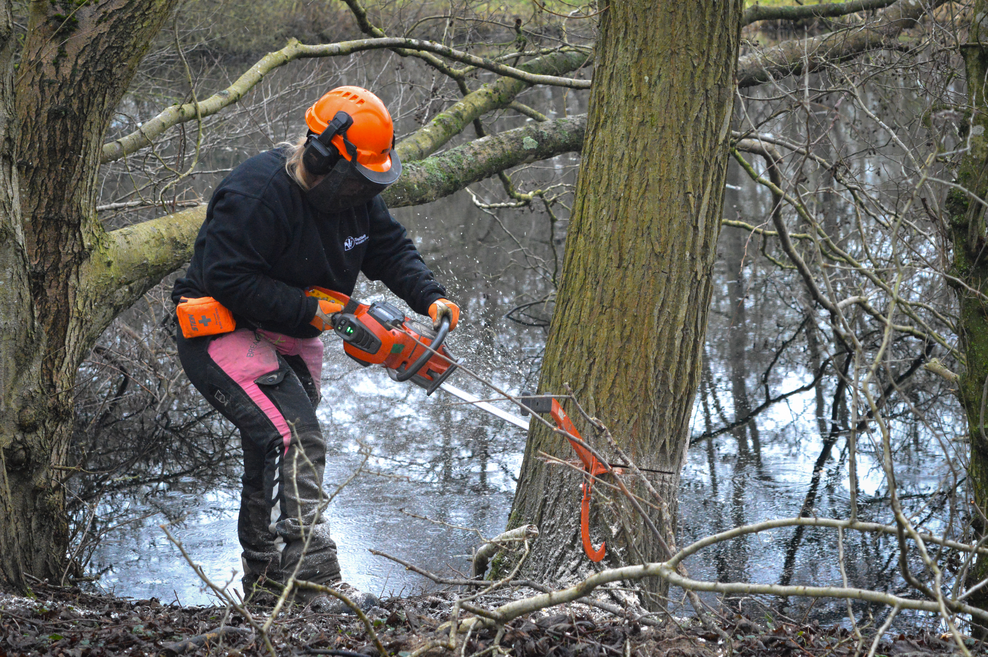 Wild News from our teams - February 2025 | Suffolk Wildlife Trust