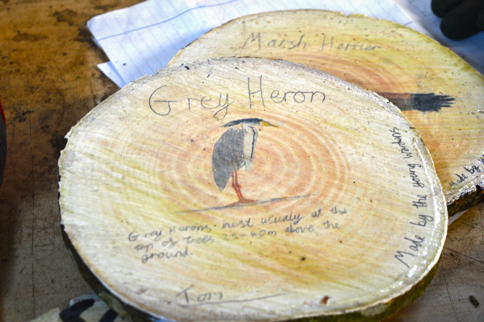 Wild News from our teams - February 2025 | Suffolk Wildlife Trust