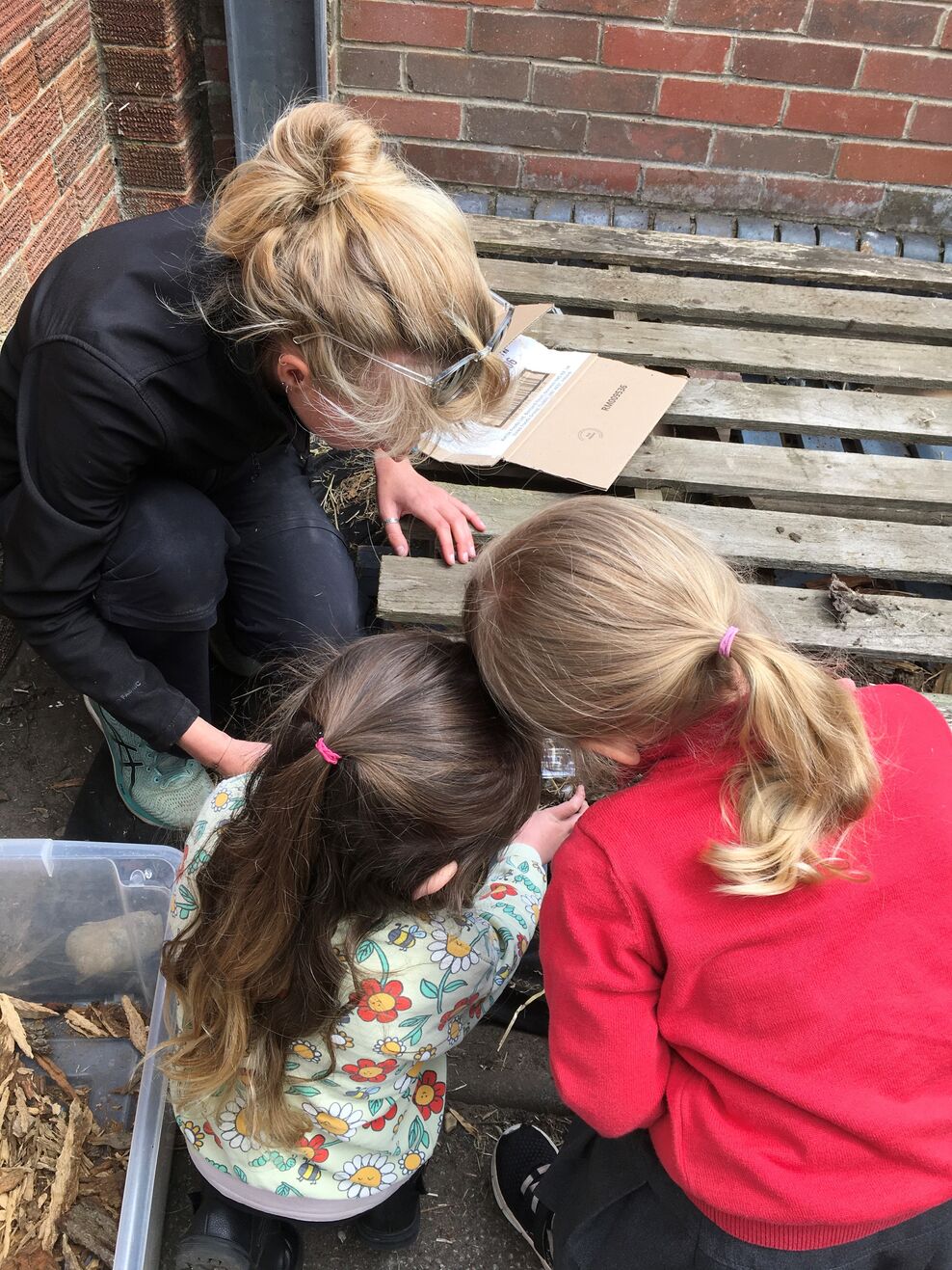 Wilder School - Southwold Primary School | Suffolk Wildlife Trust