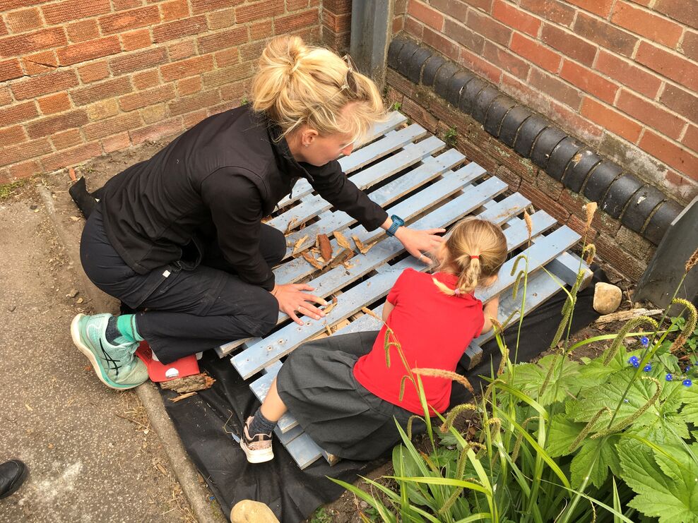 Wilder School - Southwold Primary School | Suffolk Wildlife Trust