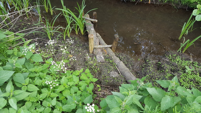 River Blyth restoration update | Suffolk Wildlife Trust