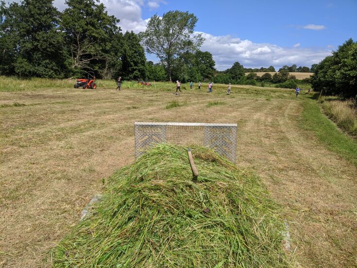 Weekly wild news from our reserves, 31 July 2020 | Suffolk Wildlife Trust