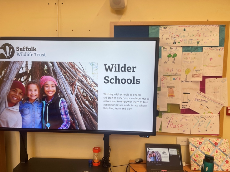 Wilder School - Dennington Primary | Suffolk Wildlife Trust