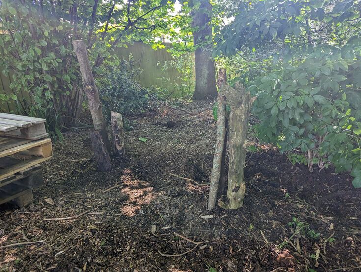Wilder School - Kingsfleet Primary | Suffolk Wildlife Trust