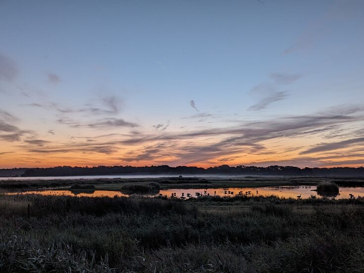 Meet the Team - Membership | Suffolk Wildlife Trust