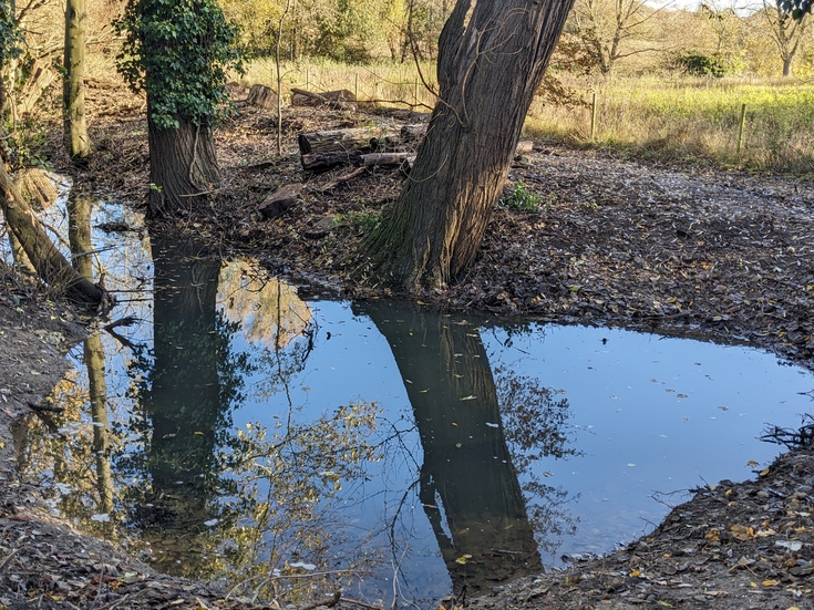 Improving & creating wetland habitats with the Bury Water Meadows Group ...