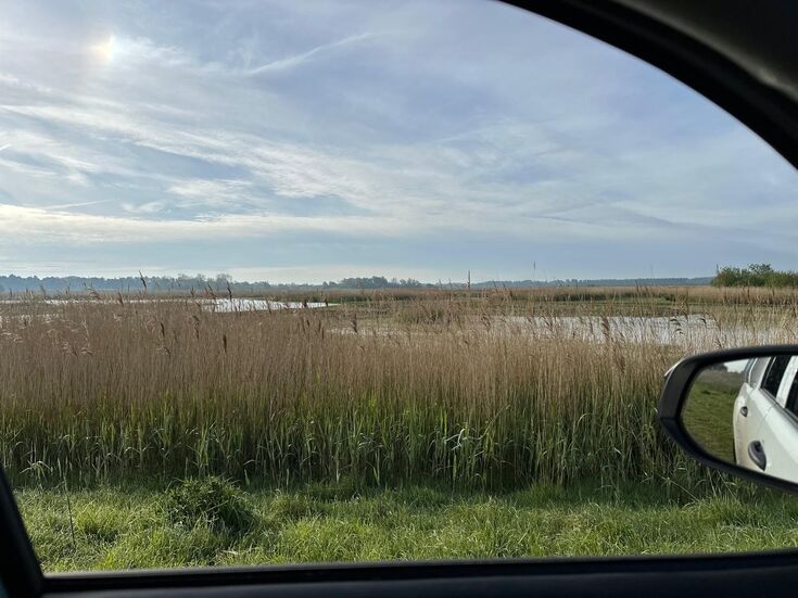 Wild news from our teams - May 2024 | Suffolk Wildlife Trust