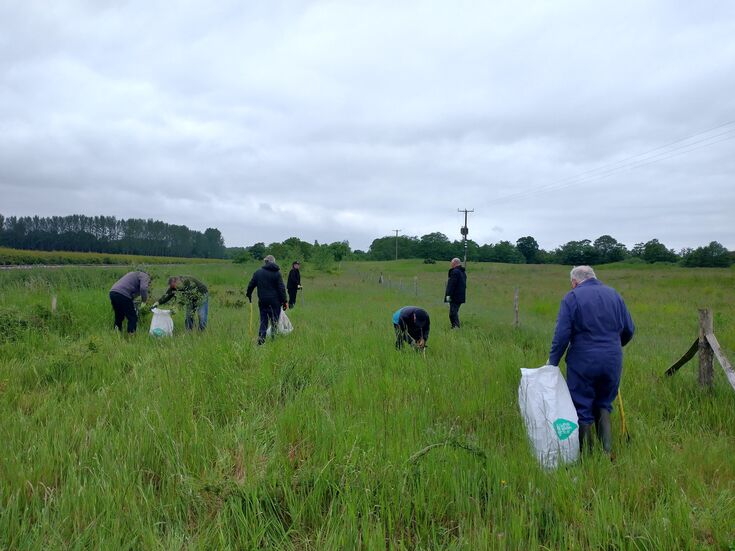 Wild news from our teams - June 2024 | Suffolk Wildlife Trust