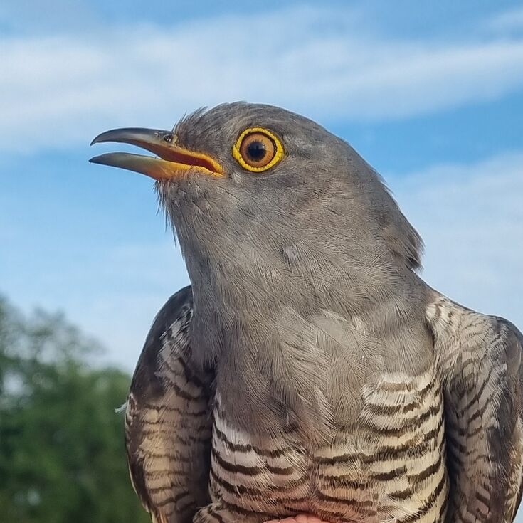 Wild News from our team - April 2025 | Suffolk Wildlife Trust