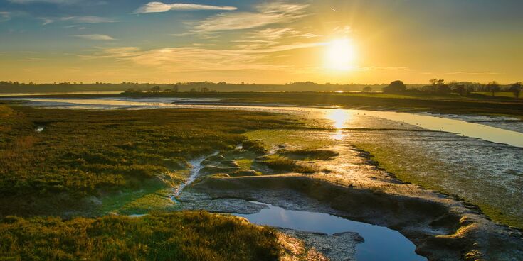 Wild News from our team - April 2025 | Suffolk Wildlife Trust