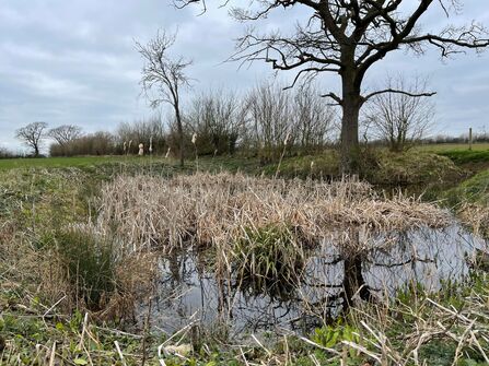 Farming with wildlife - a vision for the future | Suffolk Wildlife Trust