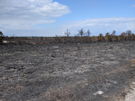 Wildfire warning as nature goes up in smoke | Suffolk Wildlife Trust