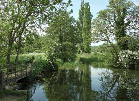 Wilder rivers | Suffolk Wildlife Trust