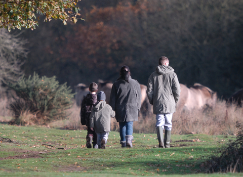 Mellis Common Nature Reserve | Suffolk Wildlife Trust